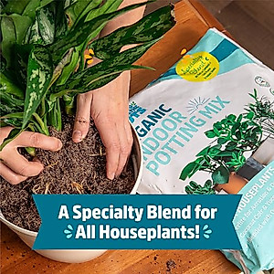 Back to the Roots 100% Organic Indoor Potting Mix (6 Quart), Promotes Healthy Houseplant Growth, Made in The USA