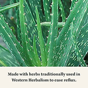 Gaia Herbs Reflux Relief - With Marshmallow Root, Chamomile, Aloe, Licorice, and High Mallow - Helps with Occasional Heartburn and Relieve Indigestion - 14 Chewable Tablets (14-Day Supply)