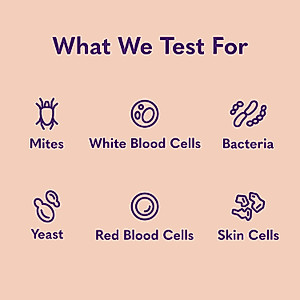 MySimplePetLab Dogs Itch and Skin Test Kit | Fast and Accurate Detection of Yeast and Other Skin Irritaions | Mail-in Dog Itchy Skin Test Used for Irritated, Itchy, or Smelly Skin