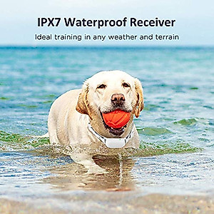 PATPET Shock Collar for Small Dog - 3000Ft Control with 3 Safe Training Modes for Small Medium Large Dogs, 2023 Upgrade Electric Dog Training Collar with Remote