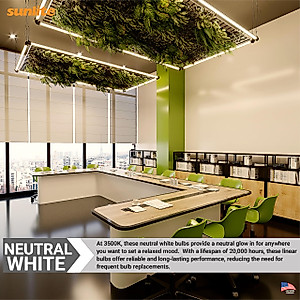 Sunlite 30257 F54T5/835/HO 4 Foot T5 Linear Fluorescent Lamp, 54 Watts, 5000 Lumens, 3500K Neutral White, Miniature G5 Bi-Pin Base, High Performance Straight Tube, 12 Pack