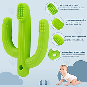Silicone Baby Teething Toys Cold Frozen Teethers Toys Soothe Infant Baby Teething Relief Chew Toys, BPA Free Training Toothbrush for Babies 0-18 Months - Cactus and Snail