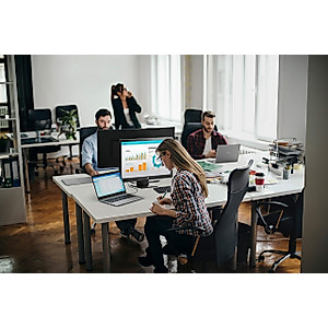 HP L1945W Widescreen LCD Monitor.