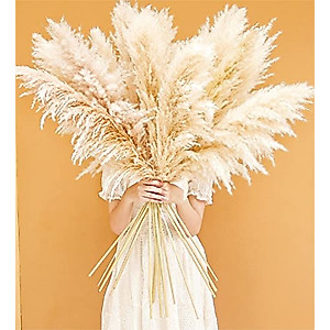 Bannifll 40" inch 10 Stems Natural Pampas Grass Decor Tall, pompas Grass, Tall Pampas Grass for Wedding, Party, Farmhouse, Boho Home Decor