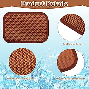 SAWMONG 4 Pack Hamster Cooling Mat, Hamster Cage Liners Mats, Cool Mat for Guinea Pigs, Cooling Pad for Rabbit, Washable & Fast Absorbent Cage Liner for Small Animal(Square)