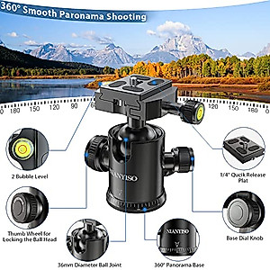 77” DSLR Camera Tripod for Travel - NIANYISO Compact Tripod for Camera, Professional Tripod with 36mm 360 Degree Ball Head, Lightweight Aluminum Camera Tripods & Monopods Load up to 33 lbs