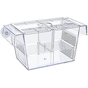 Pawfly Aquarium Fish Breeding Box Acrylic Hatchery Incubator Tank with Suction Cups Medium Isolation Box for Baby Fish Shrimp Betta and Guppy