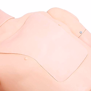 Training Manikin Model Mannequin Patient Education Teaching Model Female