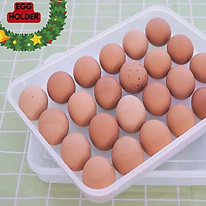 Serve Perfect Deviled Eggs with Ease - 2 Clear Egg Containers with Lid Hold 48 Eggs, Easy Pipe Filling and Carry, Dishwasher Safe Carrier, Stackable, BPA-Free, Party-Ready for Delicious Results