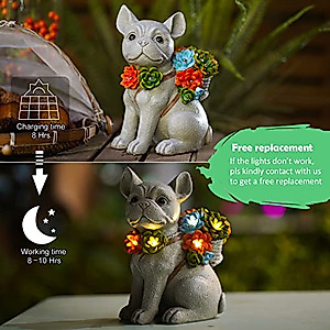 Qeeman A Bundle of Cat with Lantern and Dog