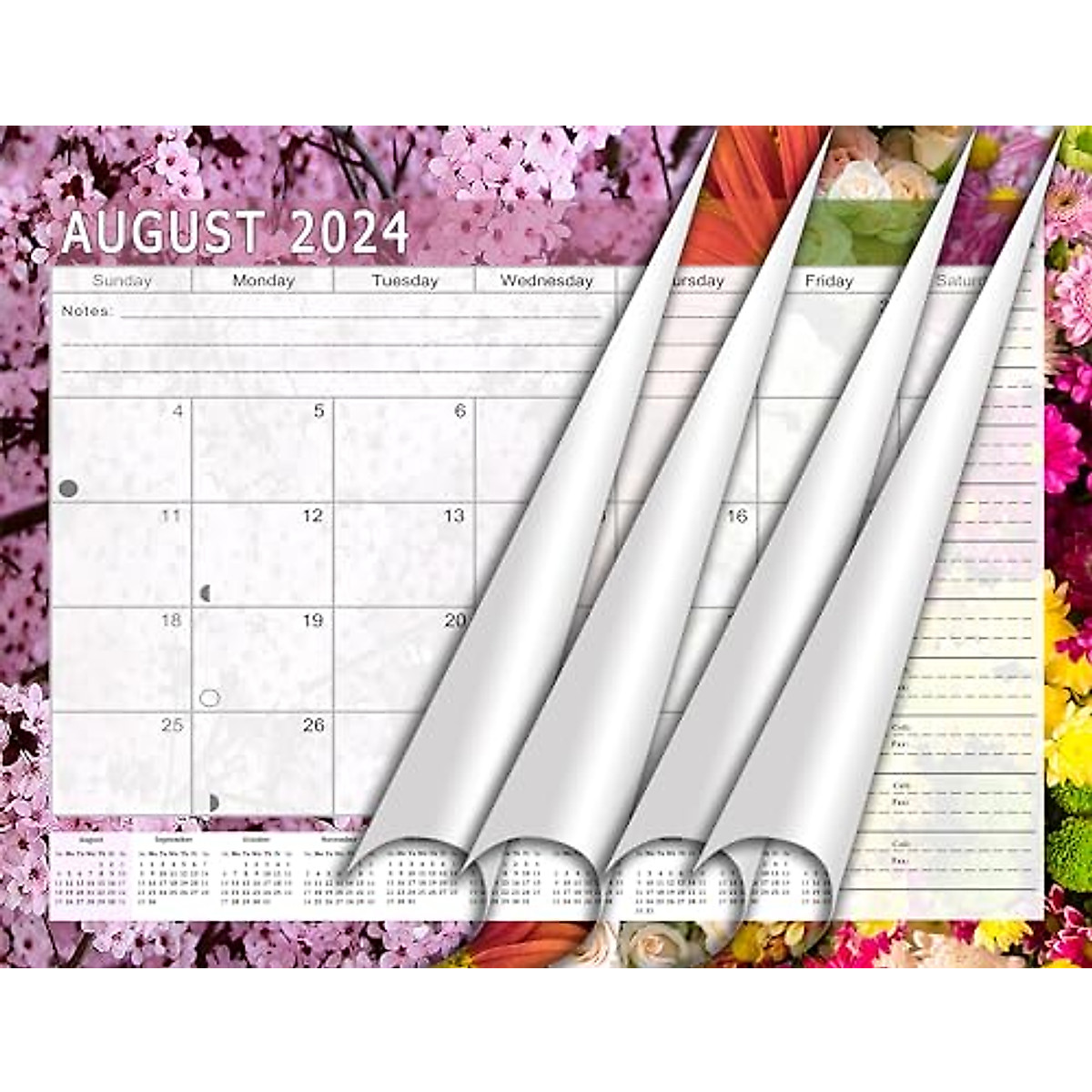 2024-2025 Academic Year 12 Months Student Calendar/Planner for 3-Ring Binder, Desk or Wall (Edition #021)