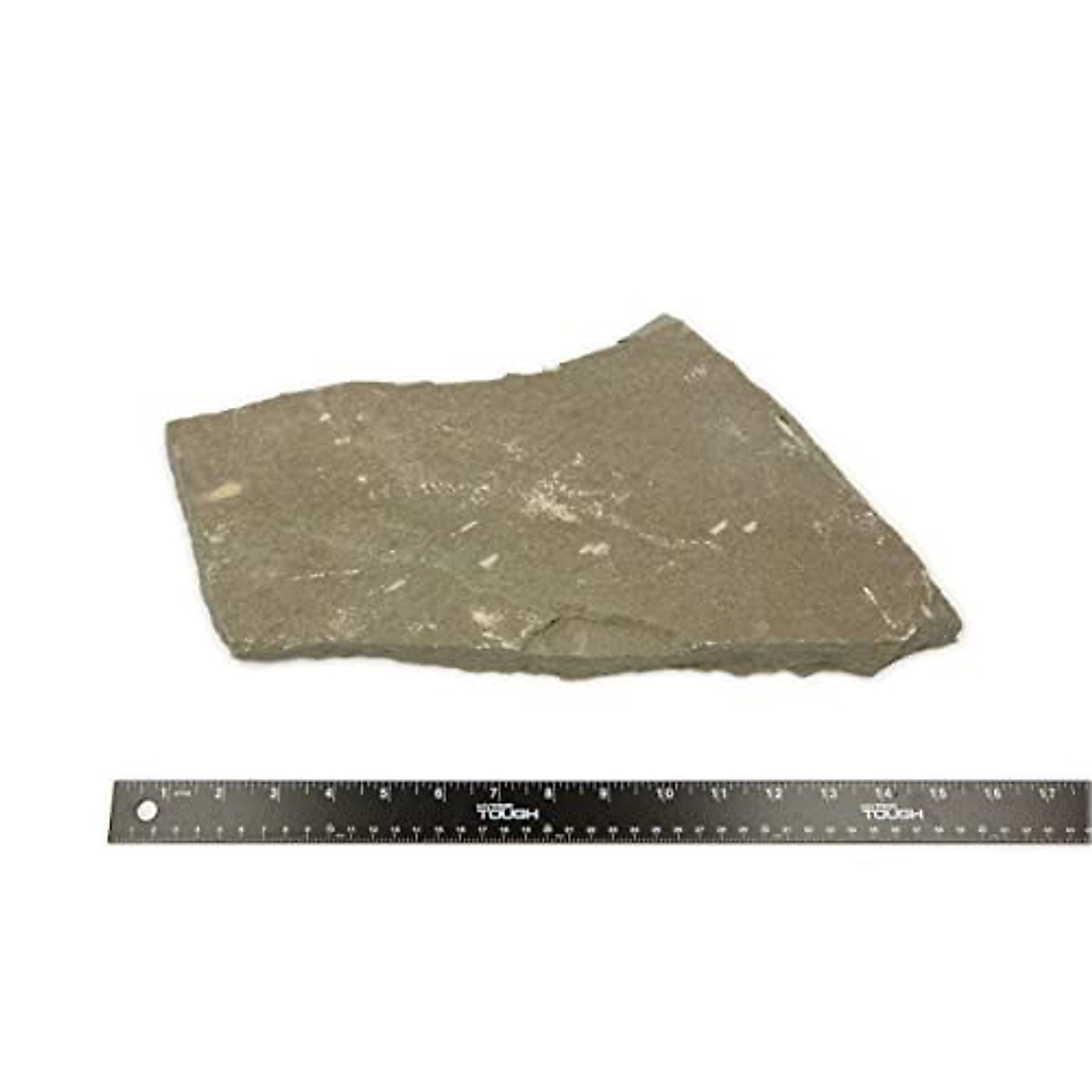 Carolina Custom Cages Natural Habitat Rocks, Blue Green (one Large Size)