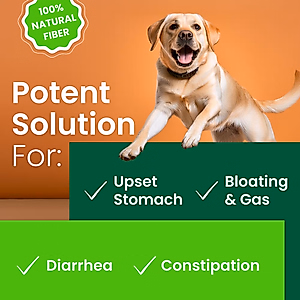 Pumpkin for Dogs - Apple, Pumpkin Seeds and Pumpkin Fruit - Fiber Supplement and Stool Softener - Diarrhea, Constipation, Upset Stomach, Food Sensitivity - Improve Digestion - 7oz Apple Flavor