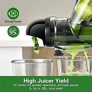Kitchen in the box Juicer Machines, Small Cold Press Juicer for Single Serve, Slow Masticating Juicer Machine Vegetable and Fruit for Everyday Use, Quiet DC Motor, BPA-Free (Black)