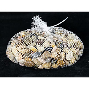 1 Pcs 8.25" Rectangular Dark Blue Bonsai / Succulent Pot + Tray + Rock + Mesh Combo