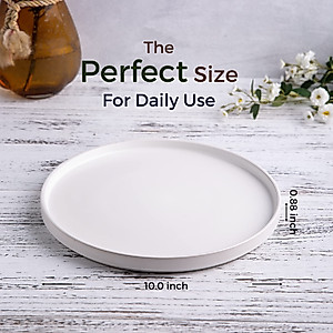 AmorArc Ceramic Dinner Plates Set of 6, 10.0 Inch Matte Stoneware Plates for Kitchen,Modern Flat Dinnerware Dishes Set,Microwave& Dishwasher Safe, Scratch Resistant, Matte white