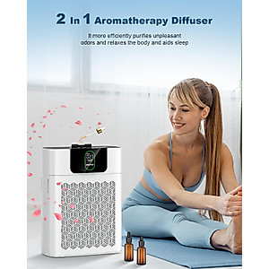 WESTHEY Official Genuine HY4866 Replacement Filter TRUE HEPA Filter, Four-layer high-efficiency purification filter Suitable for WESTHEY HY4866 Air Purifier, Pet Filter 2 PCS