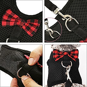 Mipcase 1 Set Harness Rope Breathable of Supplies Guinea Chinchilla Type Training M Pet Walking Animal Harnesses Puppy Straps Cat Chest Back Leash Squirrel Rabbit Strap Small for Outdoor