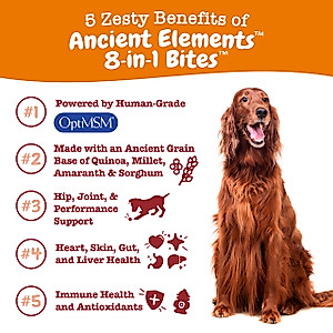 Ancient Elements 8-in-1 Bites for Dogs - Joint, Skin, Gut, Immune, Heart, Antioxidant Support + Ancient Elements Allergy & Immune Bites for Dogs - Omega 3 Wild Alaskan Salmon Fish Oil