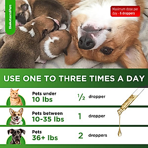 Dog Prenatal Vitamins | Pregnant Cat Supplies | Prenatal Vitamins for Dogs | Product for Pregnant Cat | Prenatal Dog Vitamins | Vitamins for Pregnant Dogs and Cats | Pregnant Dog Supplies | 2 oz