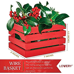 Bath and Body Christmas Gift Basket For Women and Men – Cherry Twinkle Bell Home Spa Set, Includes Fragrant Body Lotions, Bath Salts, Stocking Stuffer, Loofah Scrubber and More