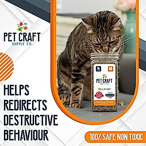 Pet Craft Supply Premium Maximum Potent All Natural Catnip for Cats USA Grown & Harvested Large 3 oz Resealable Canister or 8 oz Value Spray Bottle Great for Training Redirecting Bad Behaviors