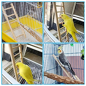 YHNTGB 5pcs Wooden Bird Ladder for Parrots Cage 5 Basic Sizes Perch Parakeet Climbing Toys Hanging Pet Natural Step Cockatoo Lovebirds