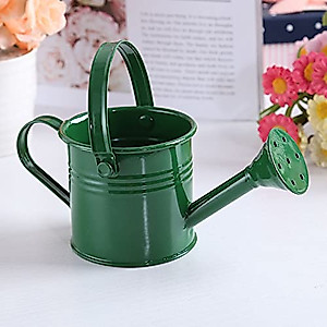 SMLJFO Watering Can for Indoor Outdoor Plants, Modern Style Watering Pot with Handle Sprinkler Head Iron House Garden Flower Long Spout Shower Pink 5.1in