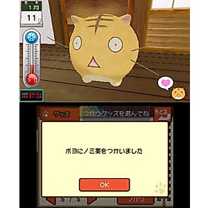 Poyo Poyo Kansatsu Nikki [Tokusouhan] [Japan Import]