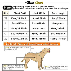 SELMAI Dog Hoodies Jumpsuit for Small Dog Cat Puppy Rhinestone Crown Soft Velvet Winter Hooded Pajamas Tracksuit Outfits Sportswear Jacket with Hat Training Outdoor Pink XS