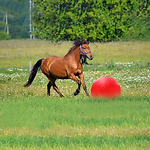 PLEURO Horse Ball Training Toy, Large Ball Horse Toys,Anti-Burst Horse Exercise Ball Toy with Inflator Pump for Horse Lamb Goat Enterainment Toy Ball (30", Red)