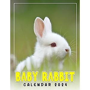 Baby Rabbit Calendar 2024: Cute Monthly Wall & Desk Planner for a Playful and Organized Year - Large and Adorable Design