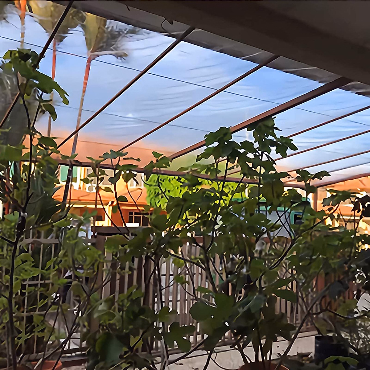 3 x 10 ft Clear Waterproof Tarp, PVC 11.8 Mil Tarpaulin with Grommets and Cable Tie, Duty Heavy Tear Resistant Cover for Camping, Plants Greenhouse, Cars, Patio and Pavilion