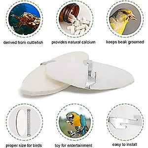 Jmxu's 5"-5.5" Bird Cuttlebone for Parakeets, Cuddle Bone with Metal Holder, Chewing Cuttlefish Bone for Sharp Beaks, Natural Birds Calcium Suitable for Parrots Cockatiels Budgie(6 Pack)