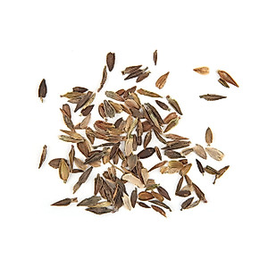 250 California Giants Zinnia Seeds for Planting - Heirloom Non-GMO USA Grown Premium Flower Seeds - Mix of Red, Orange, Yellow, White, Pink, and Purple Flowers - Attracts Butterflies by RDR Seeds