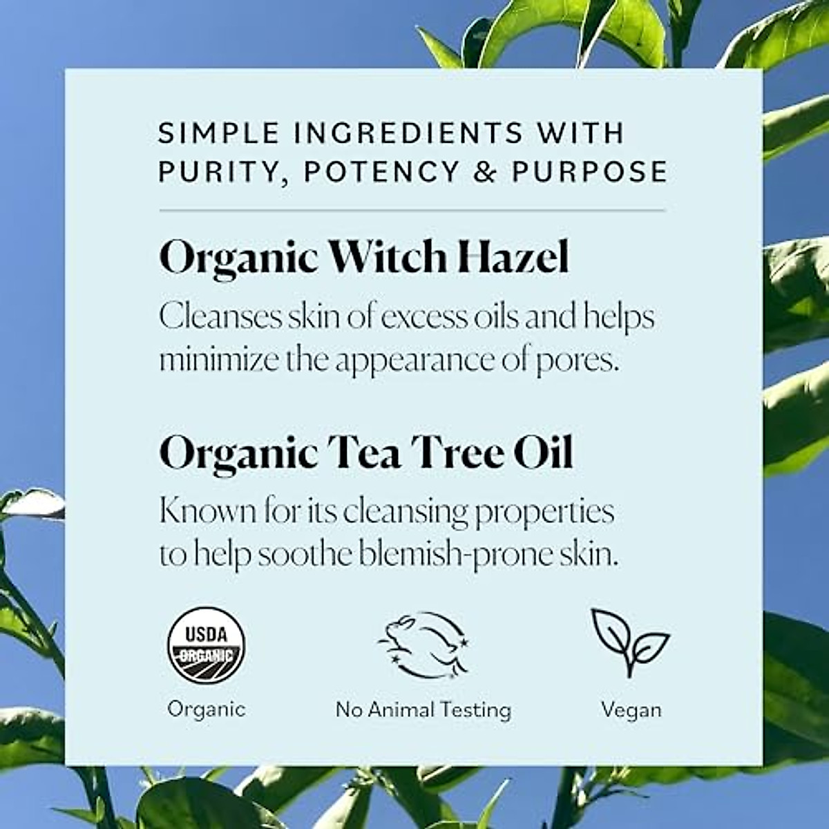 Sky Organics Organic Tea Tree & Witch Hazel for Face, Purifying Facial Toner to Hydrate, Soothe, Cleanse and Balance Blemish-Prone Skin, Helps Minimize The Appearance of Pores, 8 fl oz
