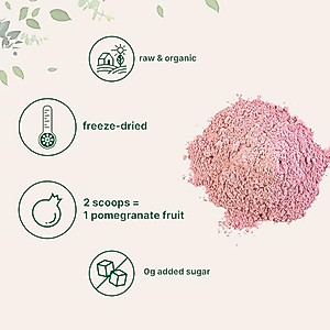 Organic Pomegranate Juice Powder, 1 Pound | 100% Natural Fruit Powder | Freeze Dried & Cold Pressed | No Sugar & Additives | Great Flavor for Drinks, Smoothie, & Beverages | Non-GMO & Vegan Friendly