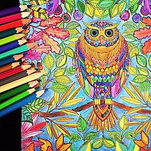 Bringsine Colored Pencils Set for Painting Drawing- 36 Colouring Pencils Leather Case Bag Coloring Book Ideal for Christmas Gifts