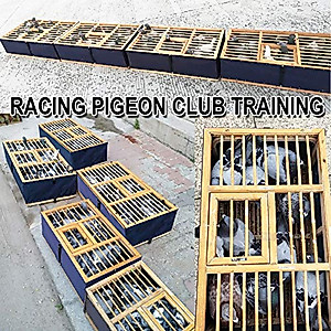 Pigeon cage Foldable Wooden Transportation Cage for Racing Pigeon Poultry cage Portable Takeout Transport Pigeon Flying Cage Homing Chicken Poultry Transportation Coop. Size 24×12.5×9in