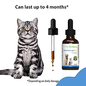 Pet Wellbeing Nettle-Eyebright Gold for Cats - Vet-Formulated - Seasonal Allergies, Hay Fever, Allergic Rhinitis - Natural Herbal Supplement 2 oz (59 ml)