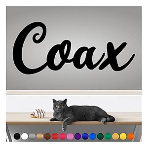 Transform Your Walls with Professional Grade, Outdoor Weatherproof Vinyl Stickers - Happy Sunday - UV Resistant, Made in The USA! Inspirational Words: Coax : 14 Inch, Satin Silver