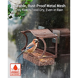 Window Bird Feeder, Desgully Metal Window Bird Feeder, Window Bird Feeders with Strong Suction Cups, Super Adhesive Sheet×4，Large Outdoor Bird Feeder, Bird Watching Gift (Curved)