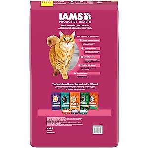 IAMS Proactive Health Adult Urinary Tract Healthy Dry Cat Food with Chicken, 22 lb. Bag