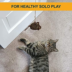 Our Pets Play-N-Squeak Batting Practice Interactive Cat Toy (Cat Toys for Stimulating Play with Real Mouse Sound, Catnip Toys to Entice Hunting Instincts) Brown 4.5 x 1.6 x 7.8 inches