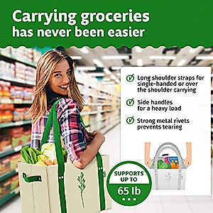 Green Bulldog Reusable Grocery Bags - Heavy Duty, Foldable, Space Saving Tote Shopping Bags - Box Bag w/Straps And Handles (Set of 3) - Taupe