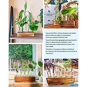 KAXYEW Plant Propagation Station, Plant Propagation Tubes, Gifts for Plant Lovers Office Desk House Garden Décor Plant Terrarium with Wooden Stand