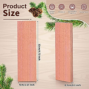 100 Pcs Cedar Blocks for Clothes Storage Aromatic Ceder Blocks Red Wood Planks Natural Cedar Accessories for Drawers and Closet Storage