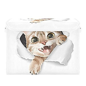 RunningBear Cartoon Cute Cat Large Storage Bins with Lid Collapsible Storage Bin Shelves Basket Clothes Toys Bin for Home Toys Clothes
