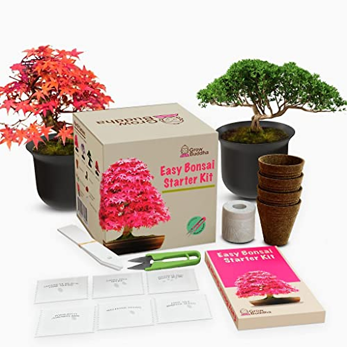 Grow Your Own Bonsai kit | Tree Plants & Seeds | Crafts Hobby Kits | Easily Grow 4 Types of ...