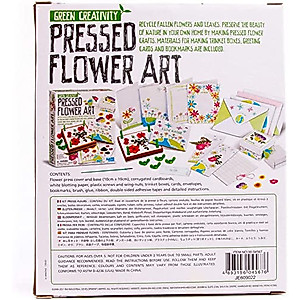 4M Green Creativity Pressed Flower Art Kit, Recycle Flowers Art & Crafts DIY Kit, For Boys & Girls Ages 5+